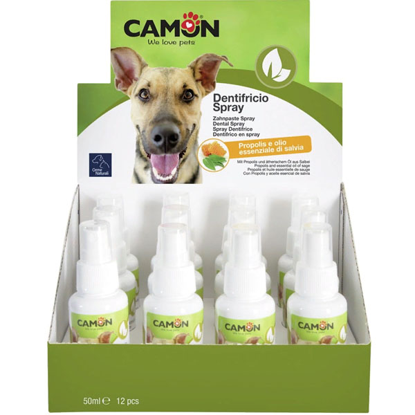 Camon